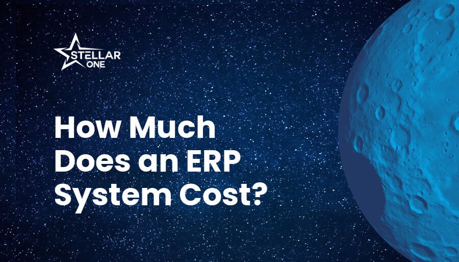 How Much Does an ERP System Cost in 2025?